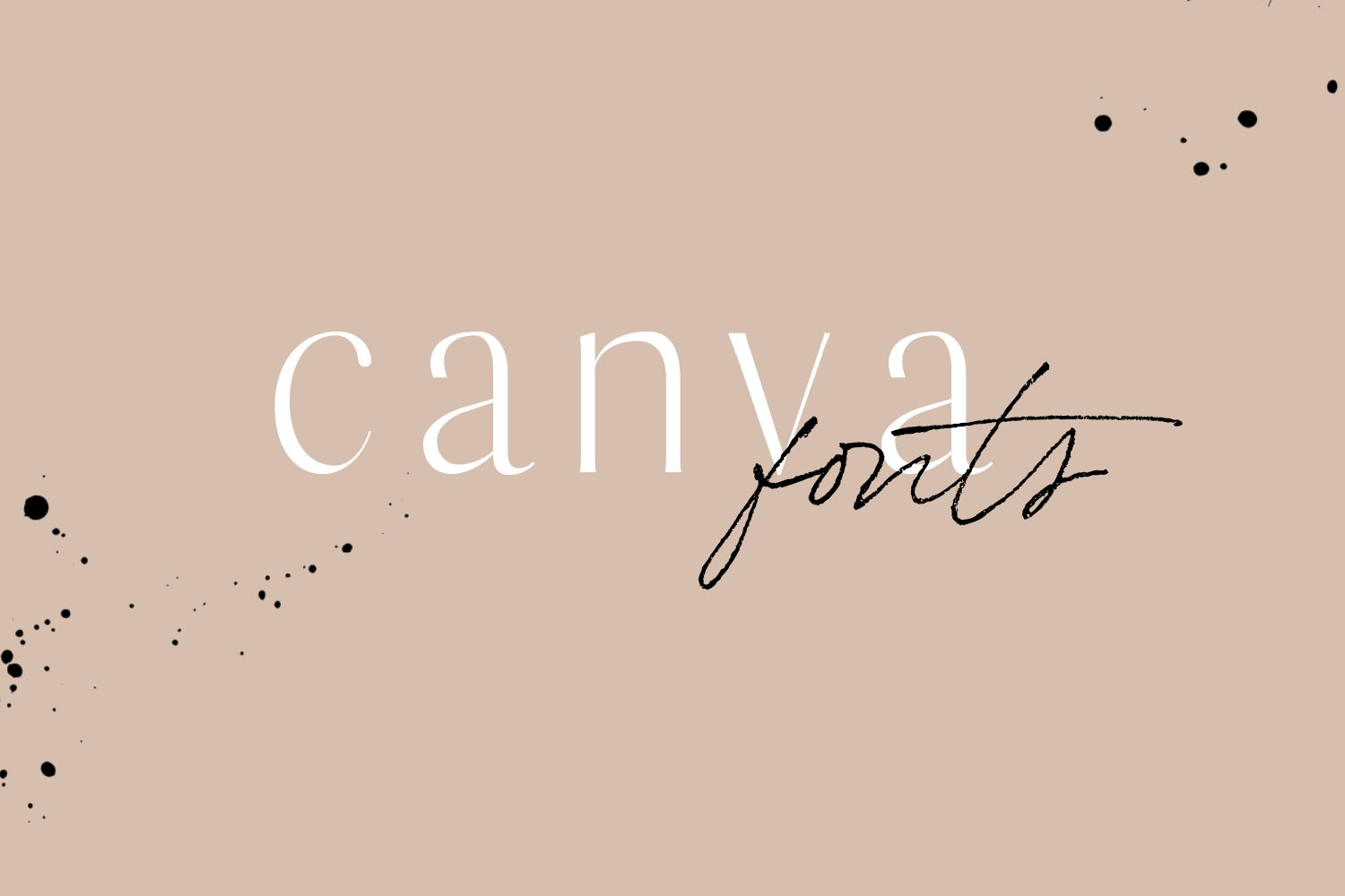 The Best Canva Fonts For Graphic Design Projects Blushcreated