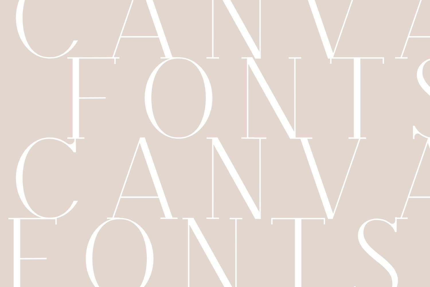The Best Canva Fonts For Graphic Design Projects Blushcreated